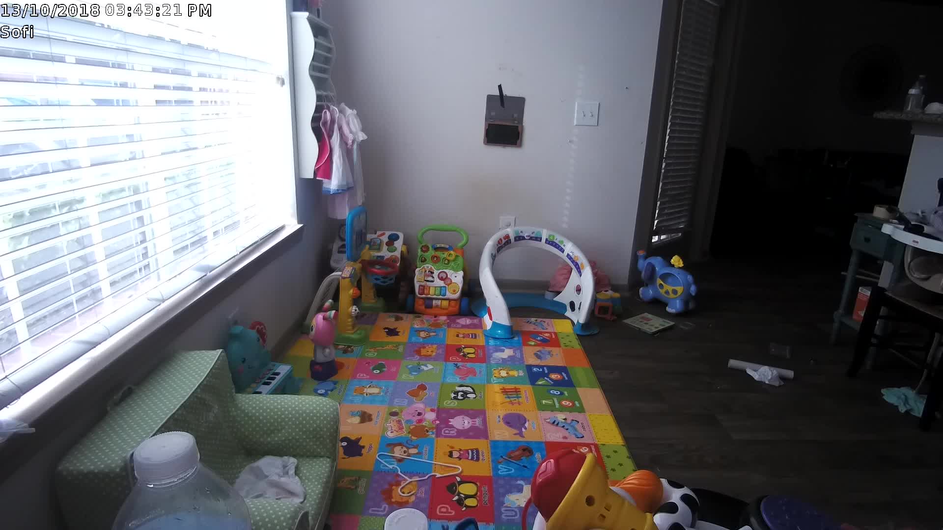 Angelcam | Live video from Sofi camera