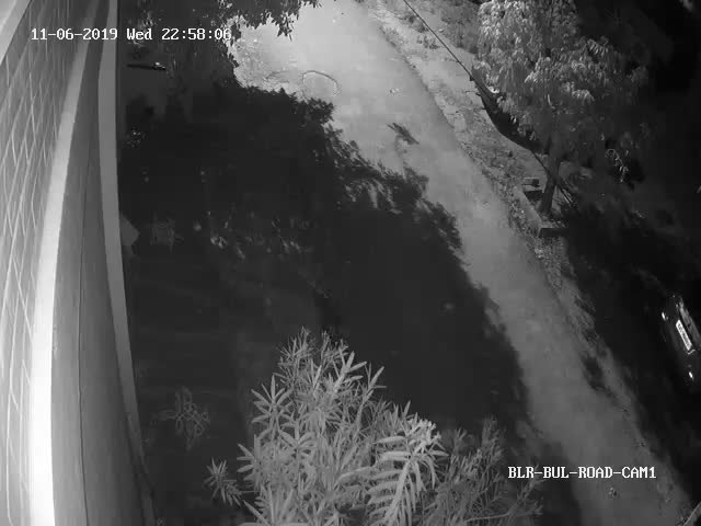 Angelcam | Live video from My camera1 camera